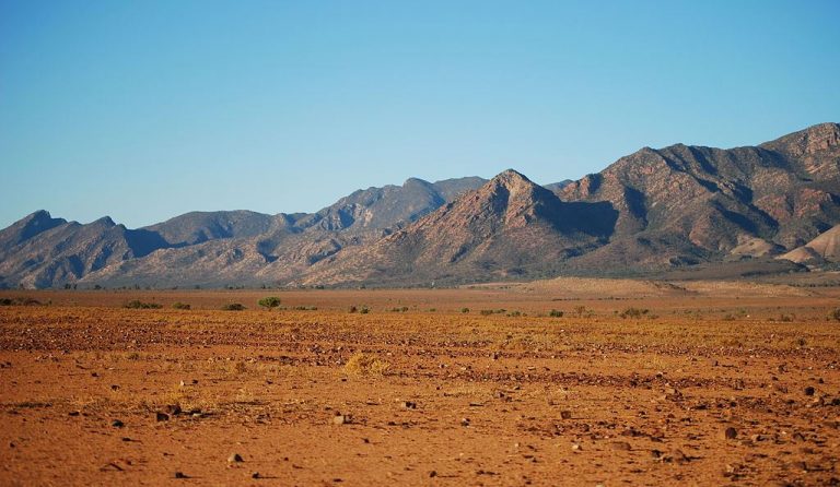 Poem How to Write a Terza Rima (With Examples) | Society of Classical Poets