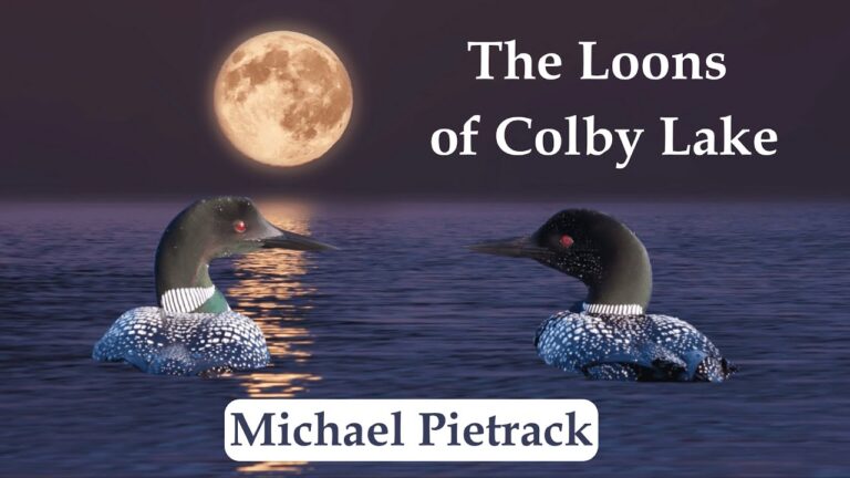 Society of Classical Poets – A community of poets dedicated to ...