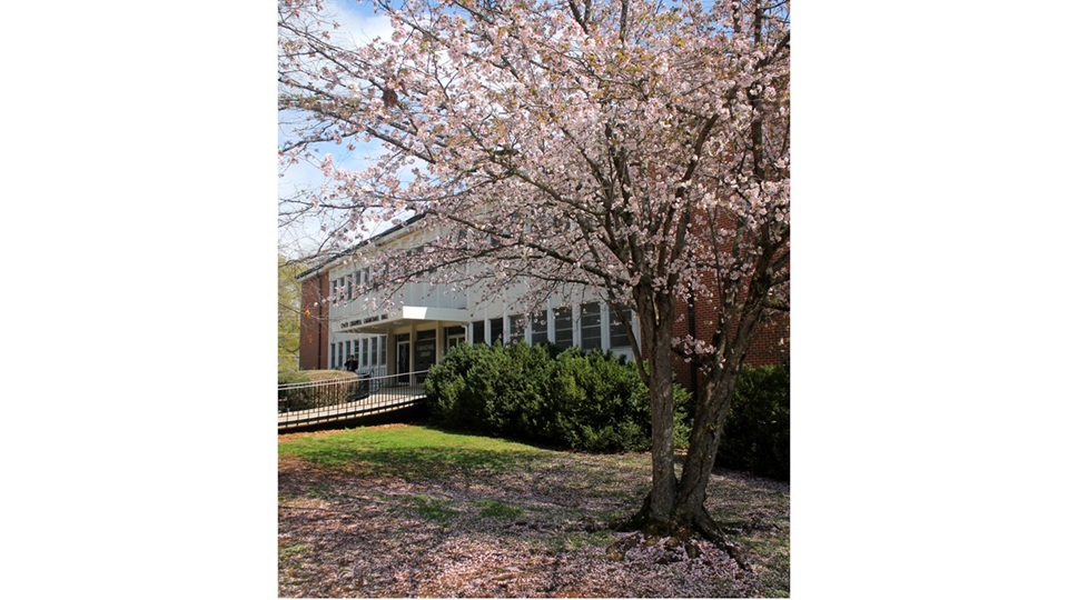 Poem 'April Flowers Bring May Showers': A Poem by Cynthia Erlandson ...